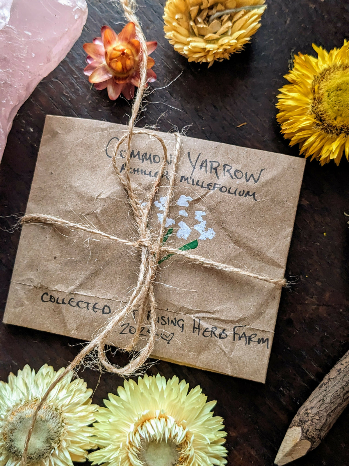 Common Yarrow Seeds — Meeting House Farm